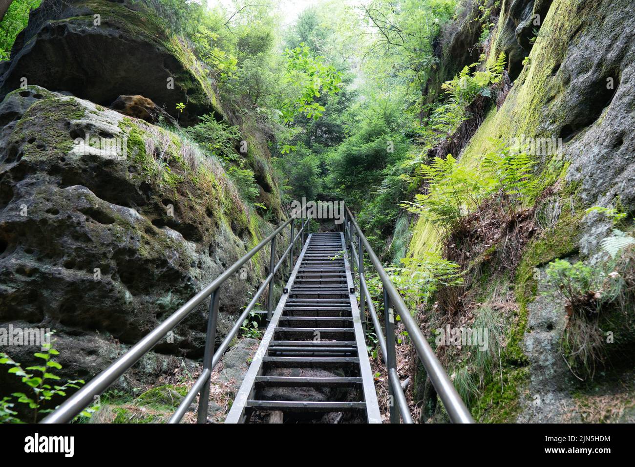 Saxon Switzerland uphill stairs, Germany Stock Photo - Alamy