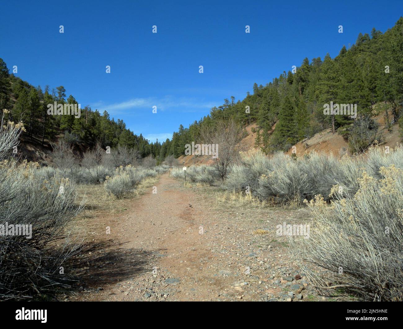 Chamisa trail hi-res stock photography and images - Alamy