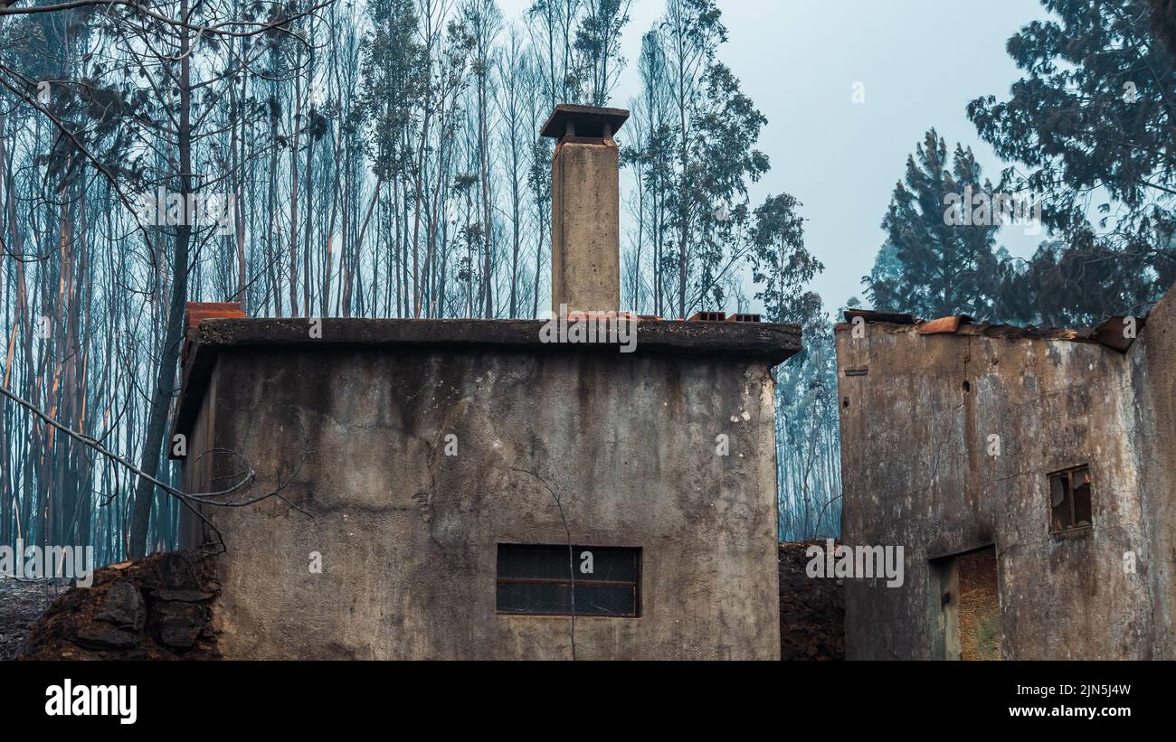 The Pedrogao Grande area in Portugal after wildfires Stock Photo - Alamy