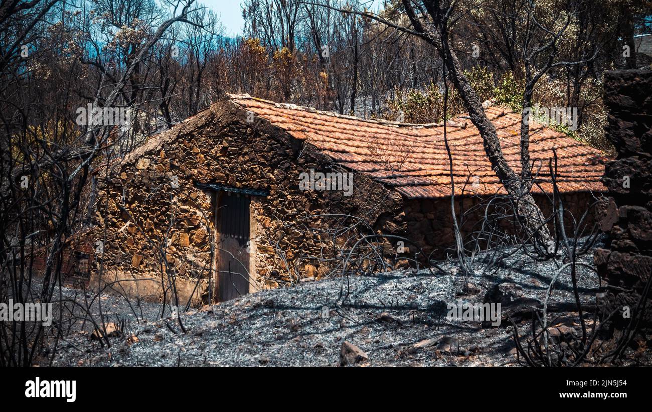 The Pedrogao Grande area in Portugal after wildfires Stock Photo - Alamy