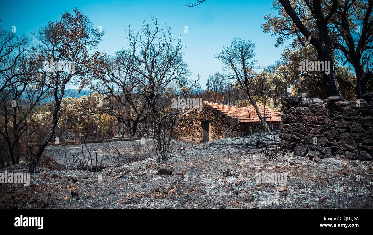 The Pedrogao Grande area in Portugal after wildfires Stock Photo - Alamy