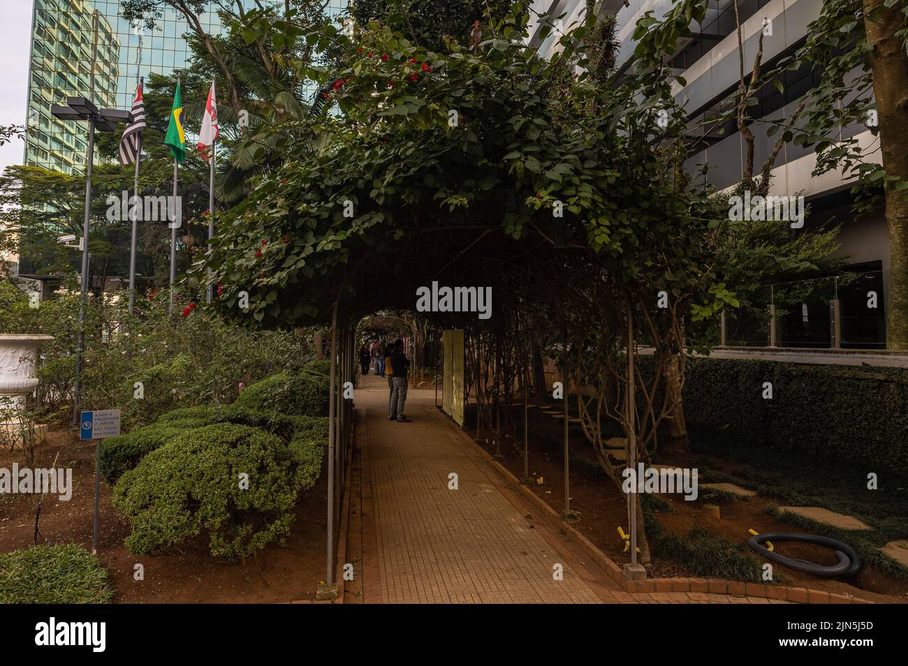 A landscape of a rose garden in Casa das Rosas, Sao Paulo, Brazil Stock ...