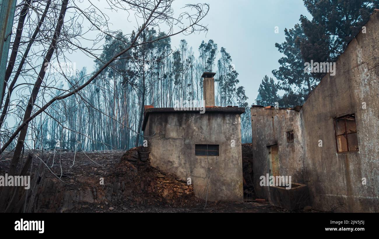 The Pedrogao Grande area in Portugal after wildfires Stock Photo - Alamy