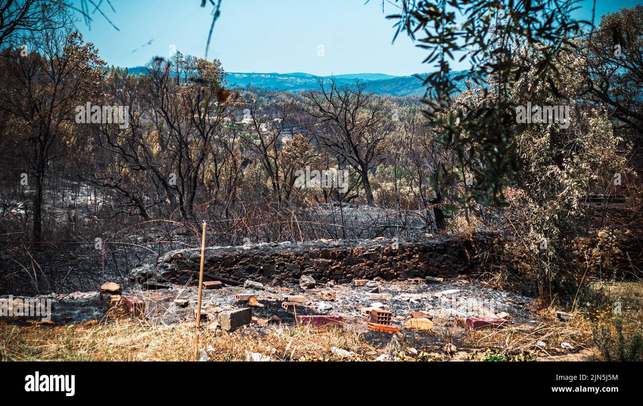 The Pedrogao Grande area in Portugal after wildfires Stock Photo - Alamy