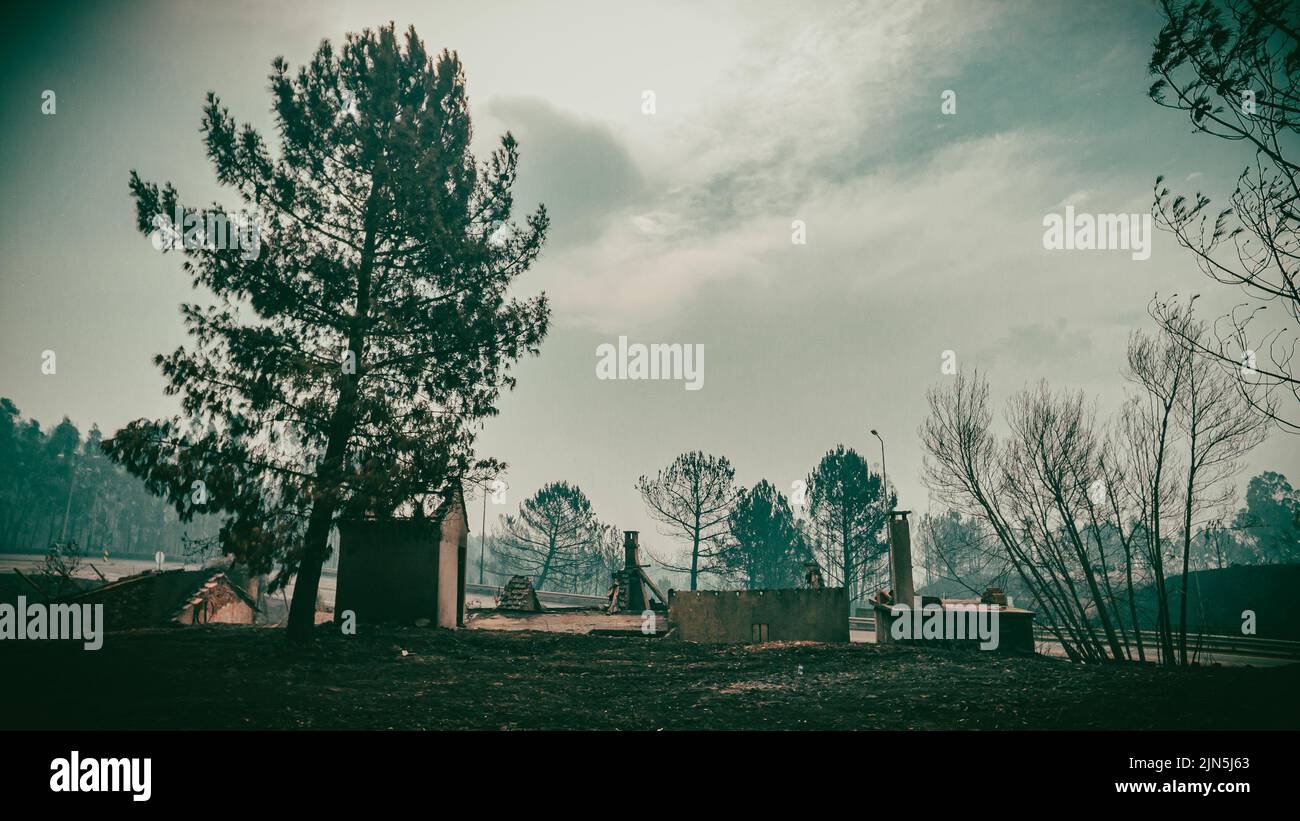 The Pedrogao Grande area in Portugal after wildfires Stock Photo - Alamy