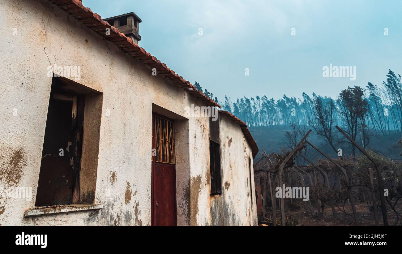 The Pedrogao Grande area in Portugal after wildfires Stock Photo - Alamy