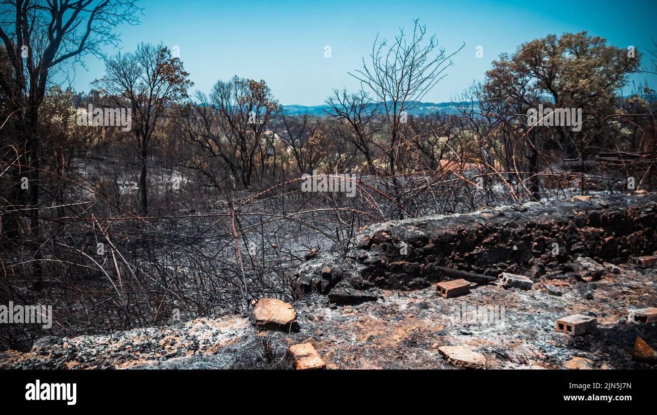 The Pedrogao Grande area in Portugal after wildfires Stock Photo - Alamy