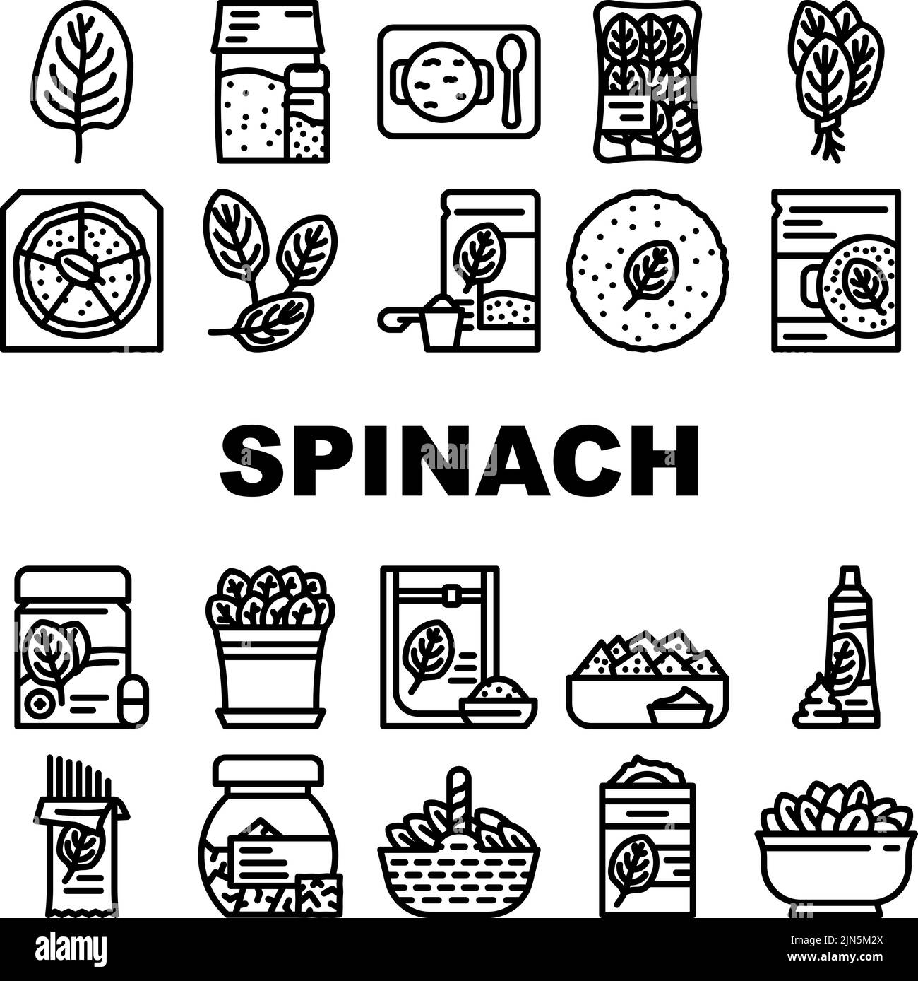 spinach leaf salad green food icons set vector Stock Vector Image & Art ...