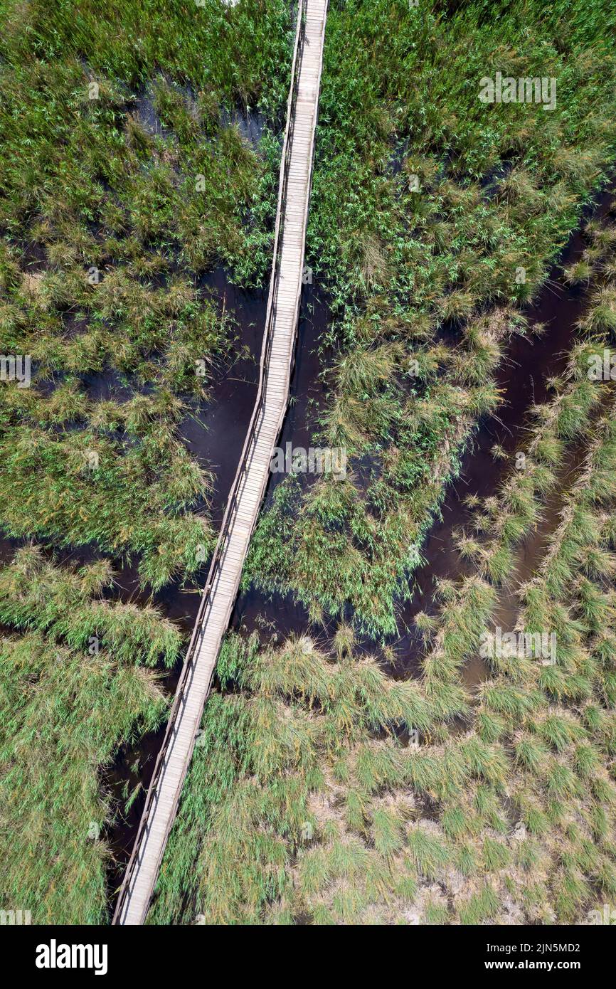 Aerial view of the pedestrian walkway inside the park of Massaciuccoli ...