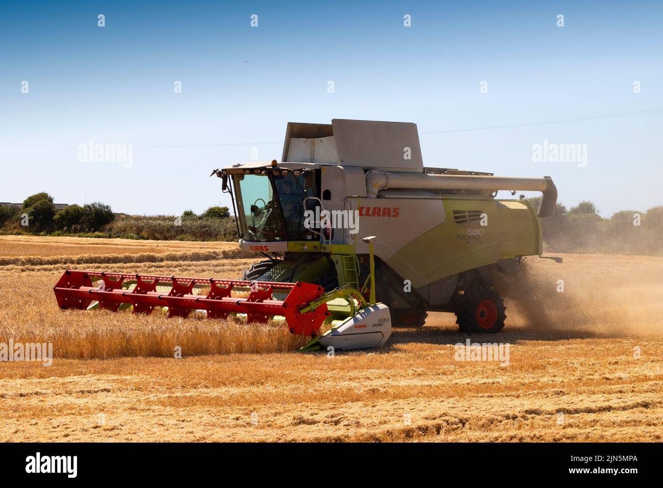 poor,crop,yield,climate,change,global,warming,agriculture,crop,corn ...