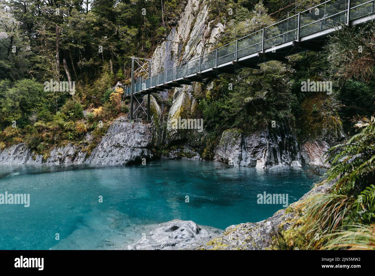 Famous turist attraction - Blue Pools, Haast Pass, New Zealand, South ...