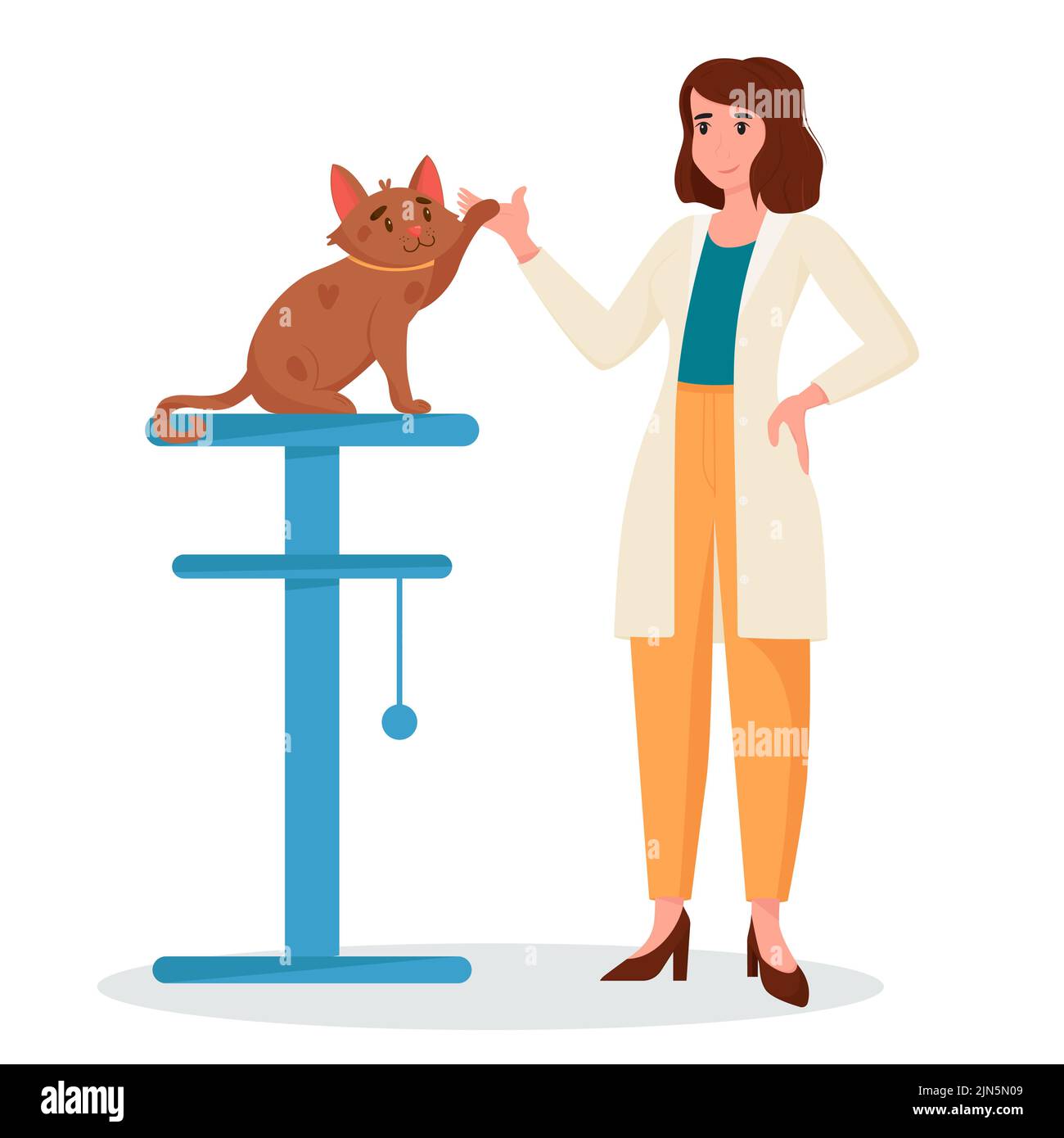 Veterinary doctor appointment. A female veterinarian treats a dog. Pet ...