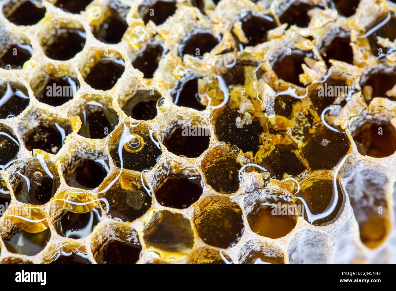 Organic honeycomb (Turkish Karakovan Honey). Karakovan natural ...