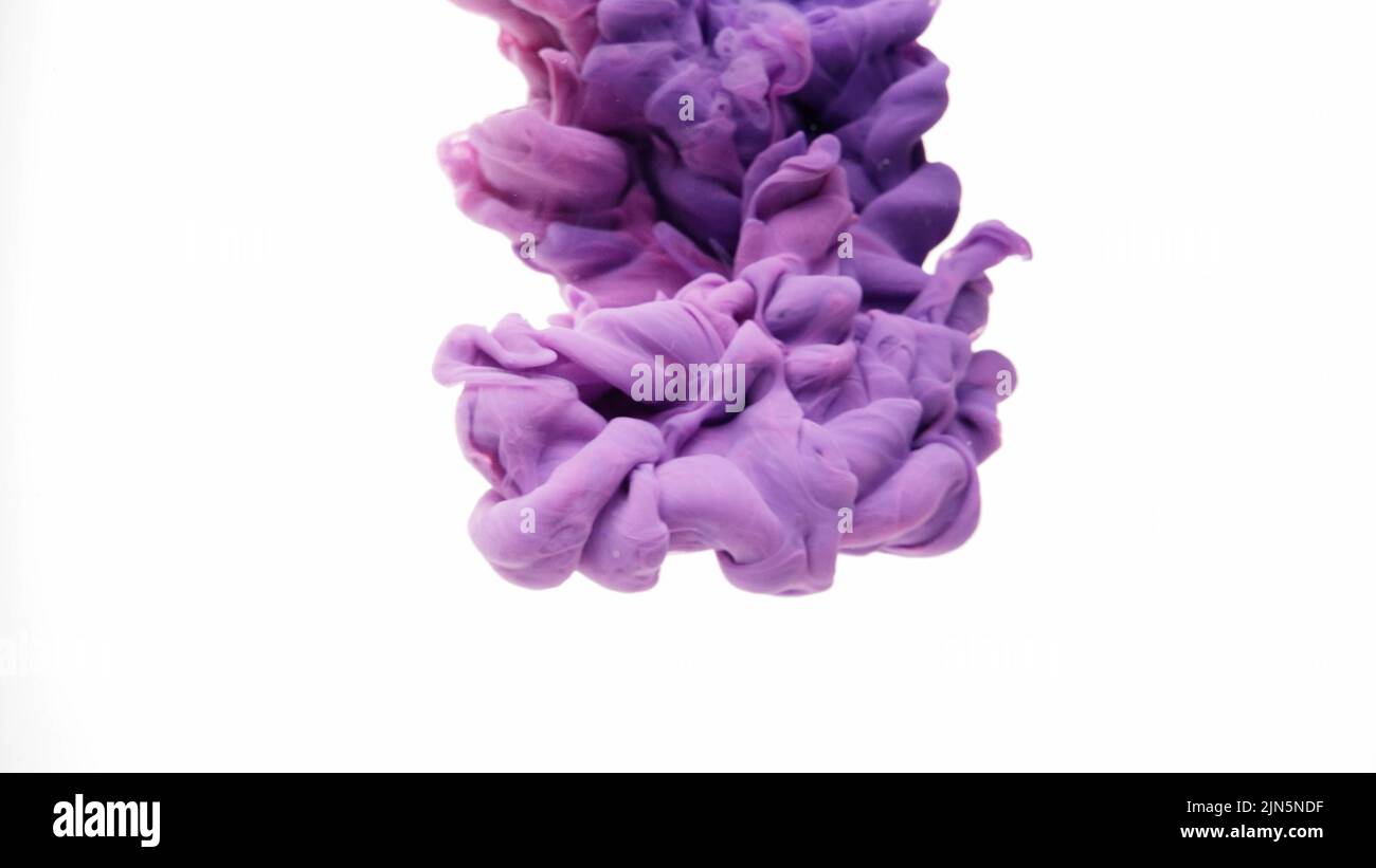 A splash of purple ink isolated on a white background Stock Photo - Alamy