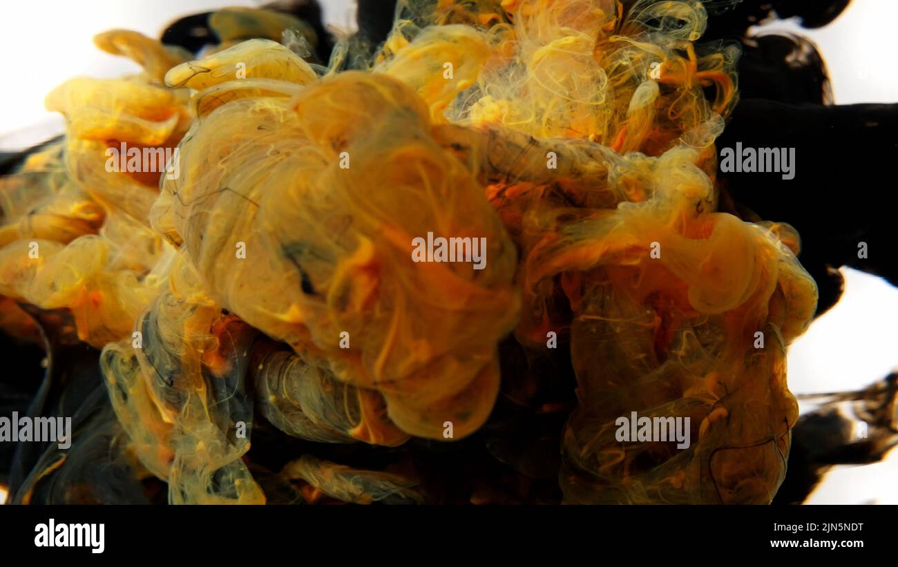 A splash of black and orange ink isolated on a white background Stock ...