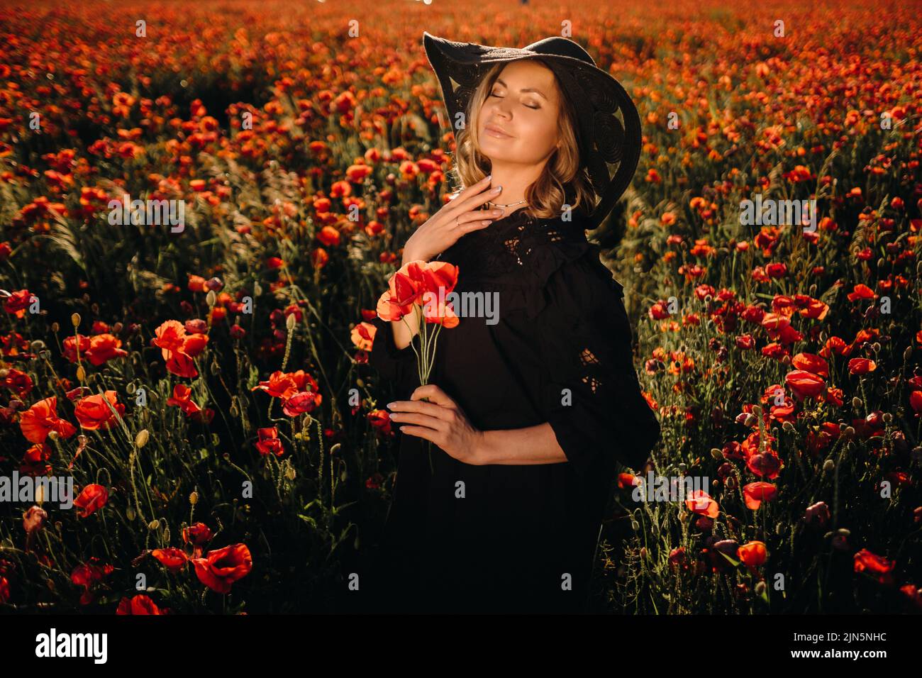 a girl in a black dress and hat on a poppy field at sunset Stock Photo ...