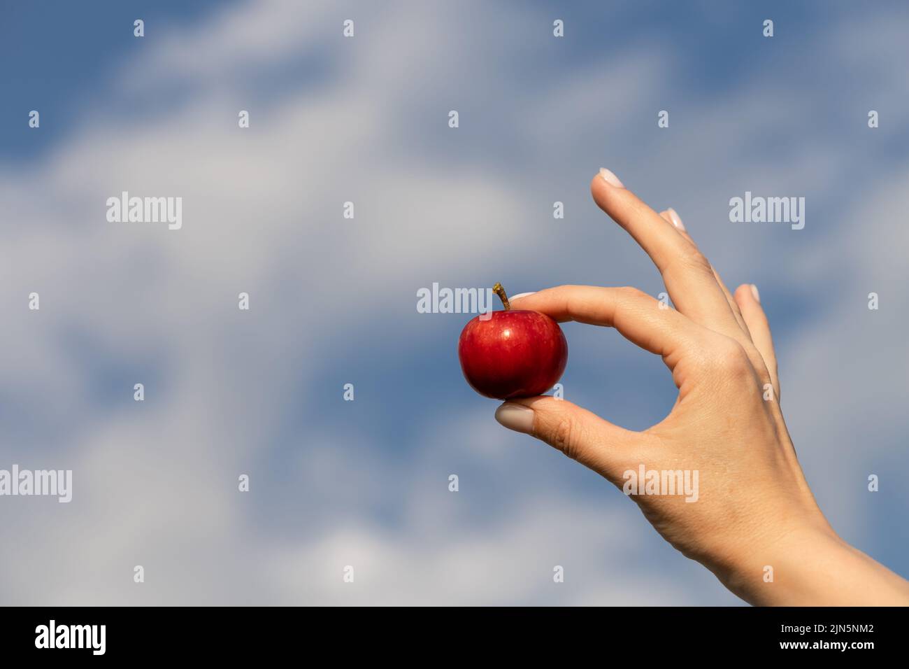 woman's hand holding a red apple against the sky. High quality photo ...