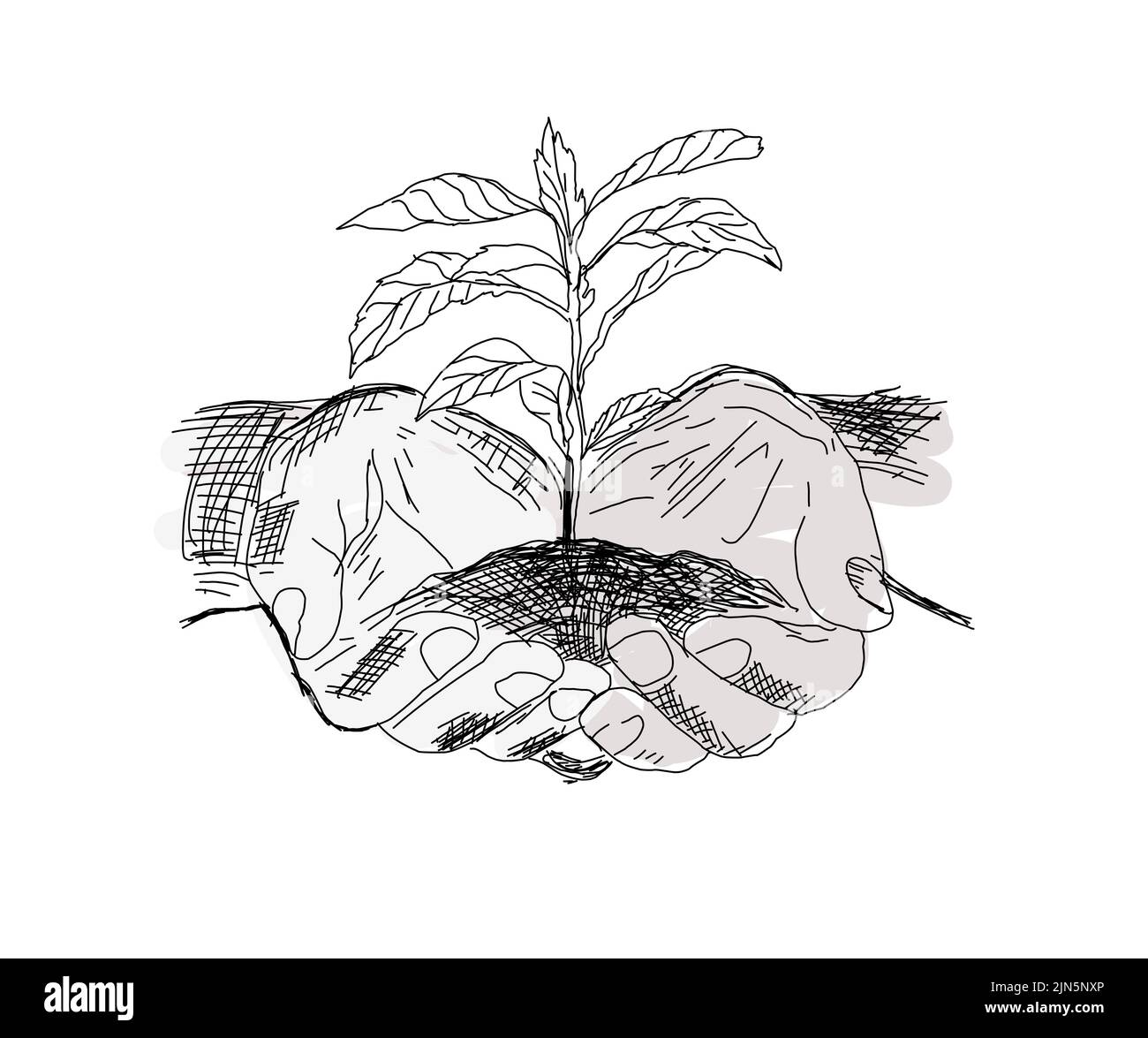 A drawn hands holding plant and soil, with the concept of care and love ...
