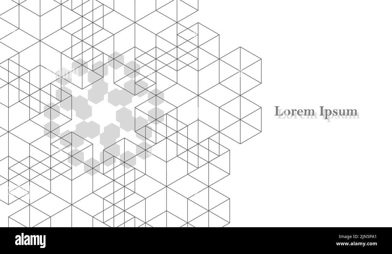 abstract gray white hexagon, network image, geometric texture ...