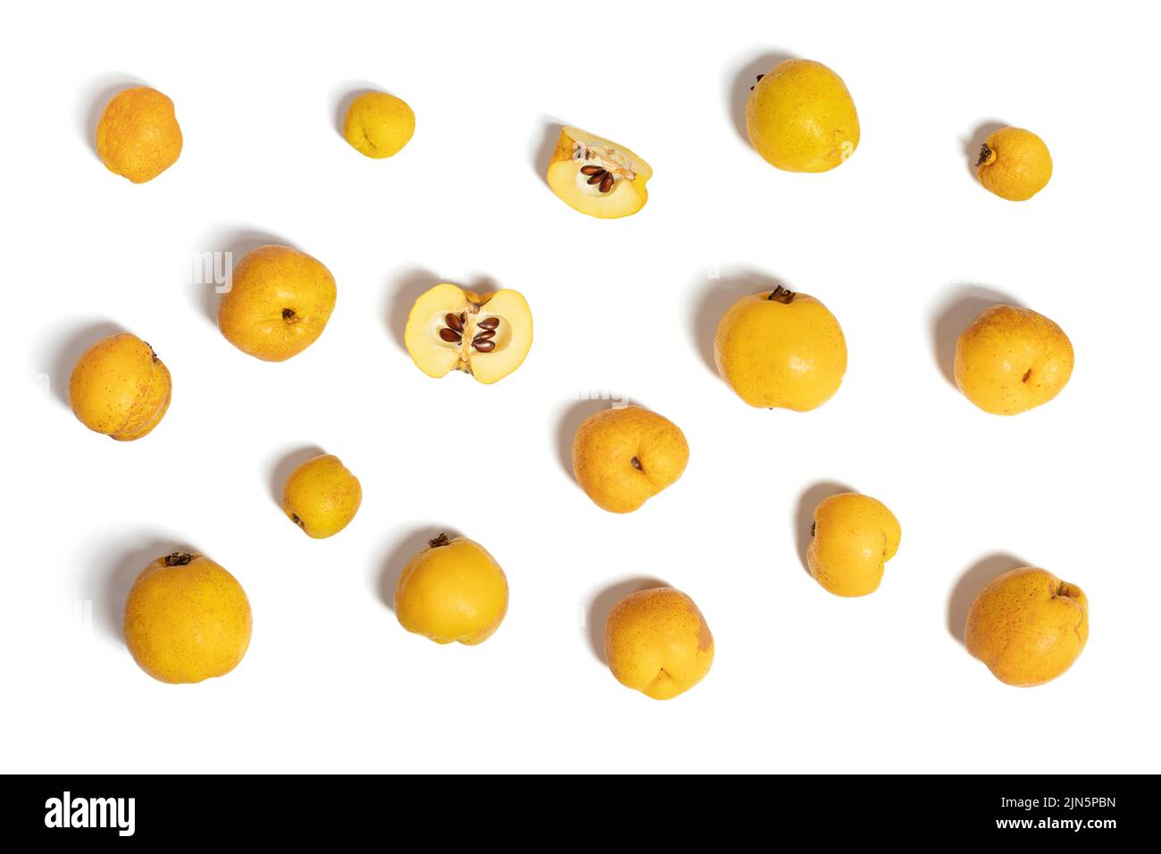 Quince pattern isolated on white background. Yellow ripe quince fruits ...