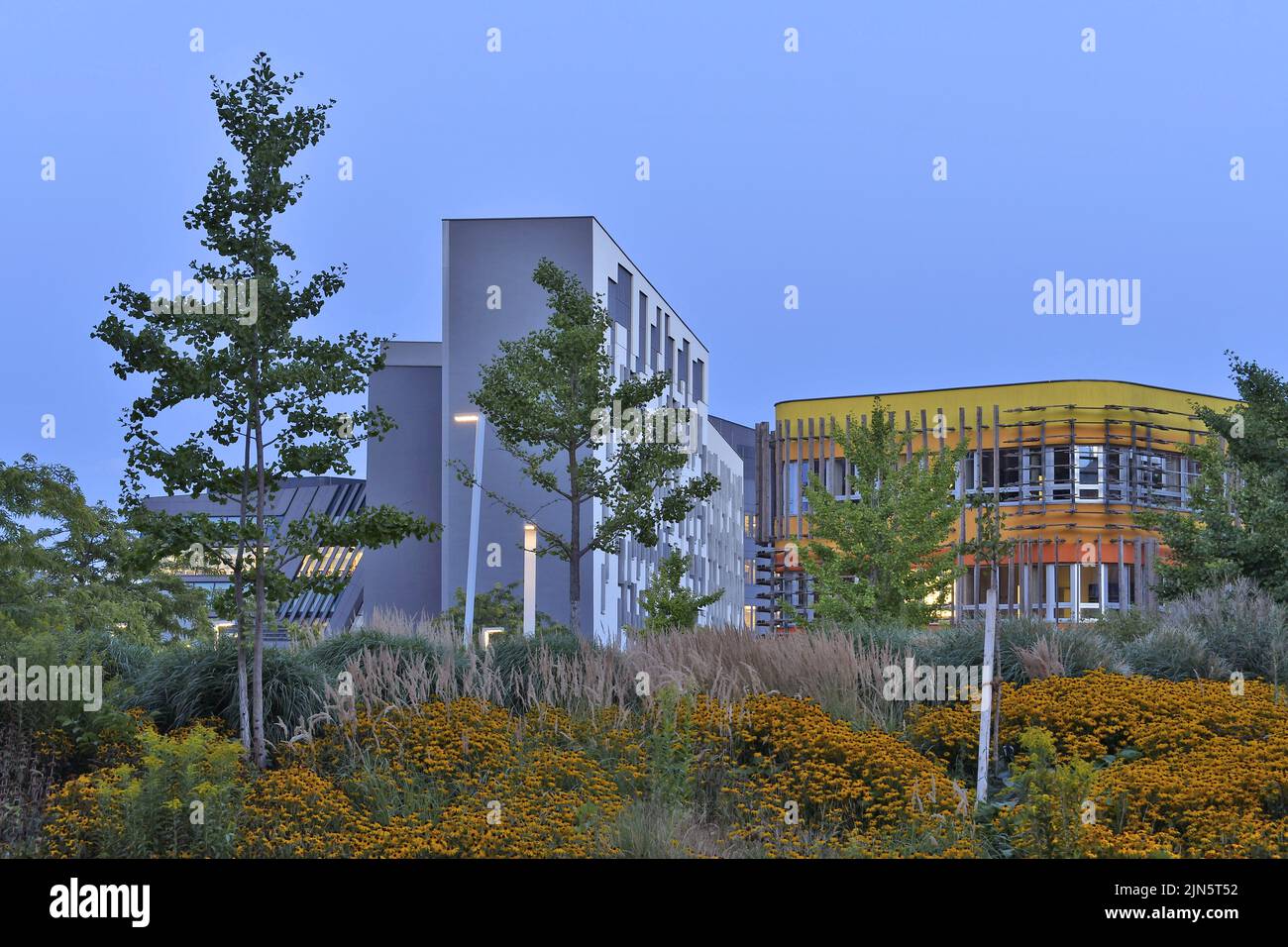 WU (Wirtschaftsuniversität Wien) University of Economics and Business ...