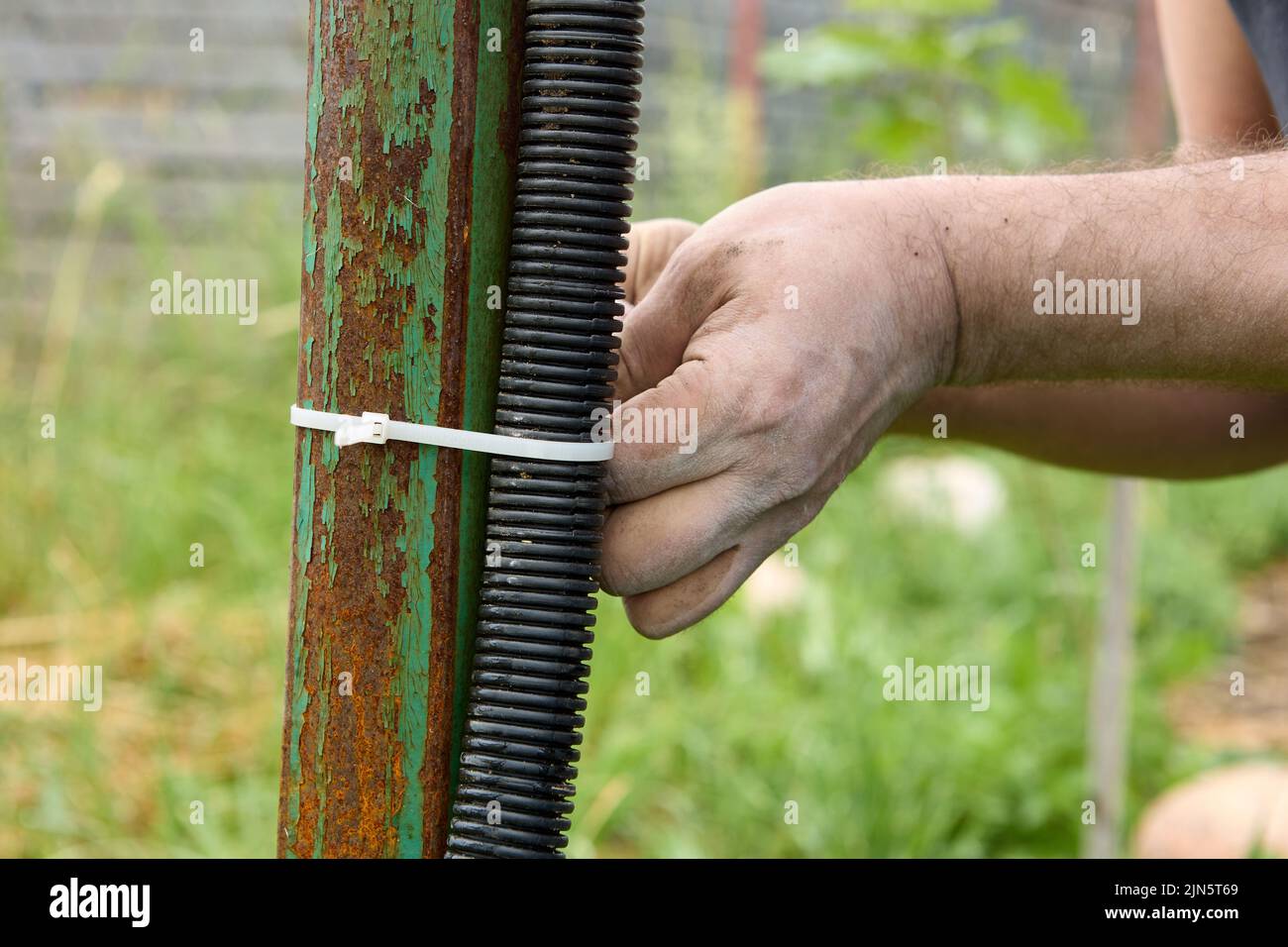 Cable tie for mounting corrugated wire casing duct Stock Photo - Alamy