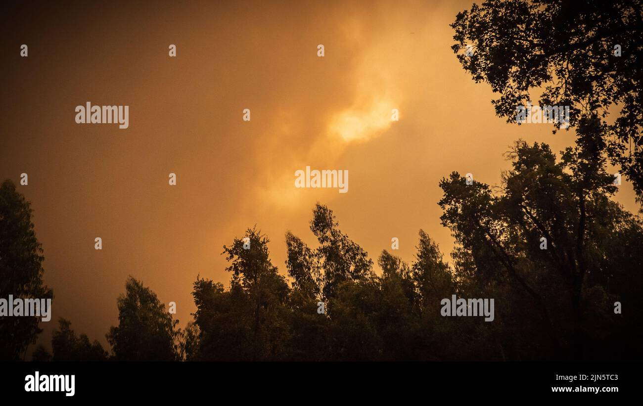 The forests in Pedrogao Grande area in Portugal during wildfires Stock ...
