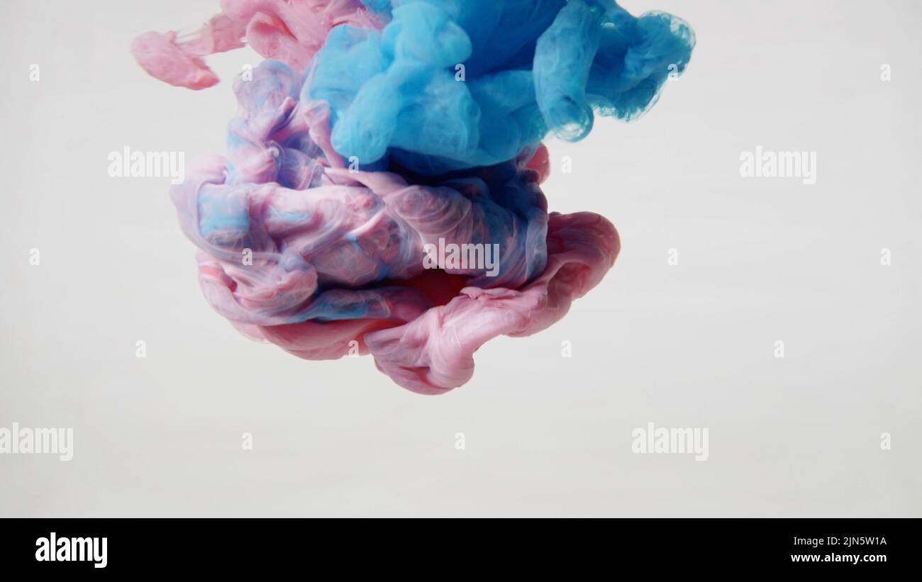 The pink and blue ink spreading in water on white background Stock ...