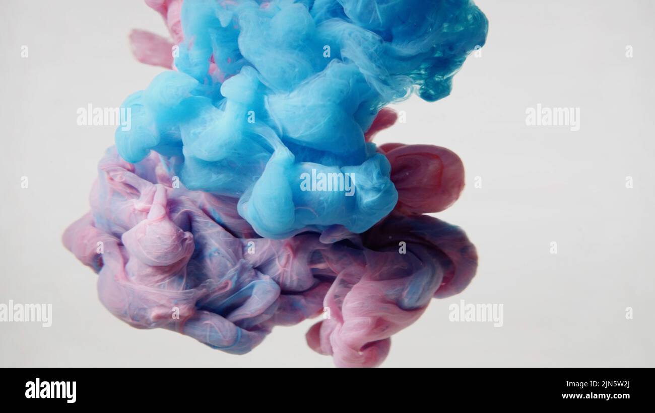 The pink and blue ink spreading in water on white background Stock ...