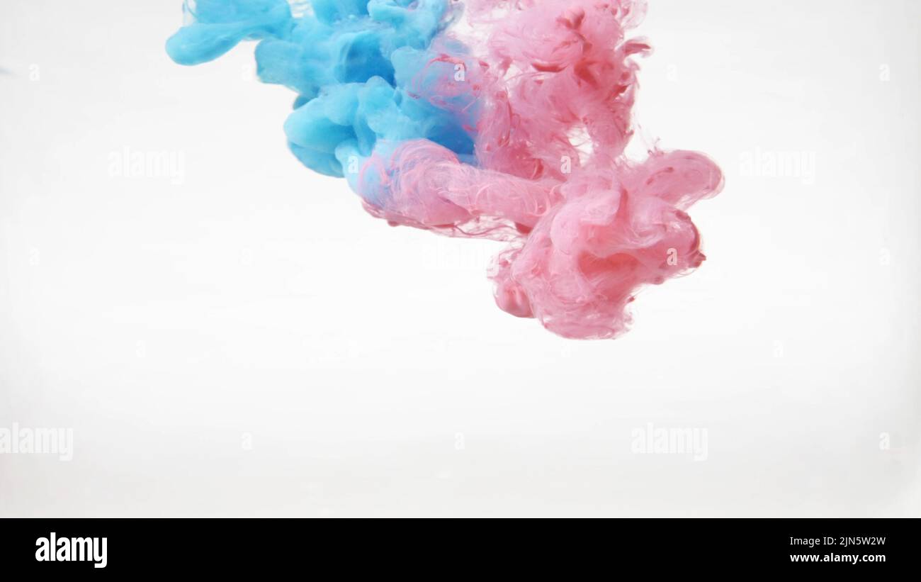 The pink and blue ink spreading in water on white background Stock ...