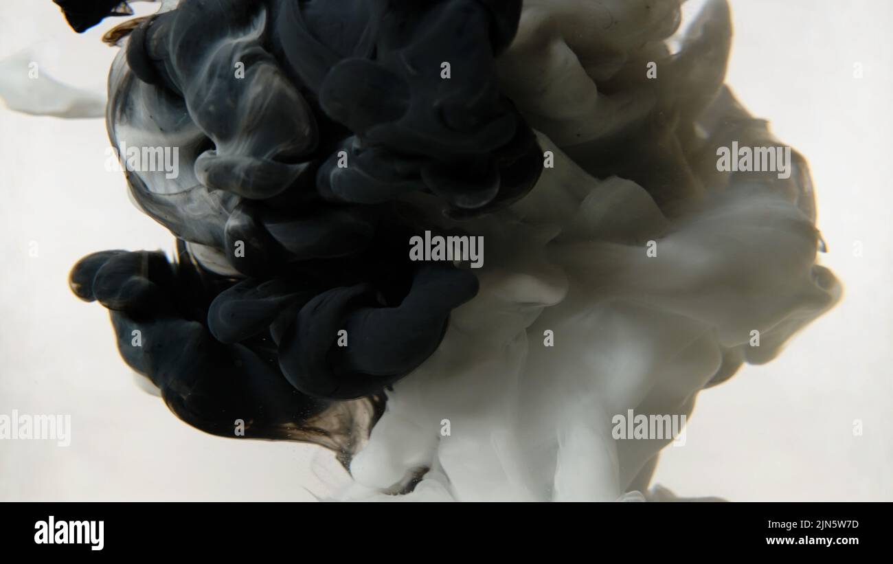 The black and white ink spreading in water on white background Stock ...