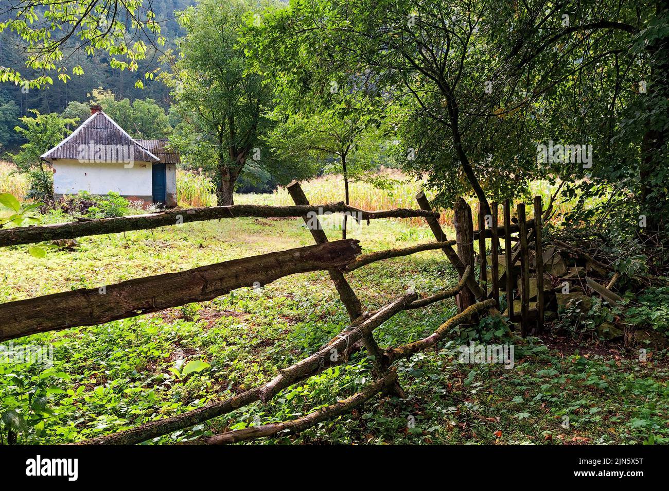 Ukrainian countryside landscape with wooden fence Stock Photo - Alamy