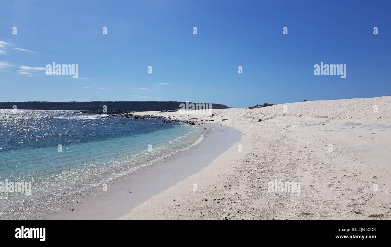 The white beach on Mosquera Island, Galapagos, Ecuador Stock Photo - Alamy
