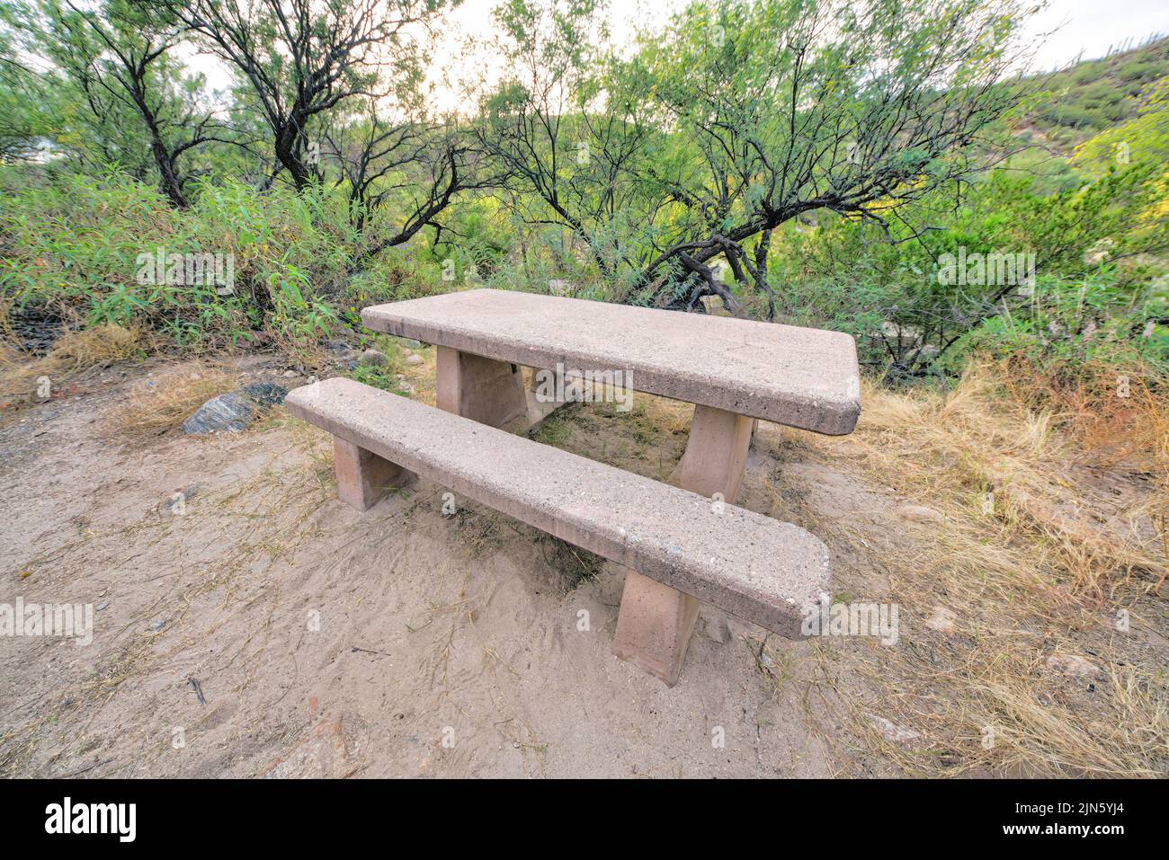 Sabino Canyon camping site with concrete dining table in Tucson ...
