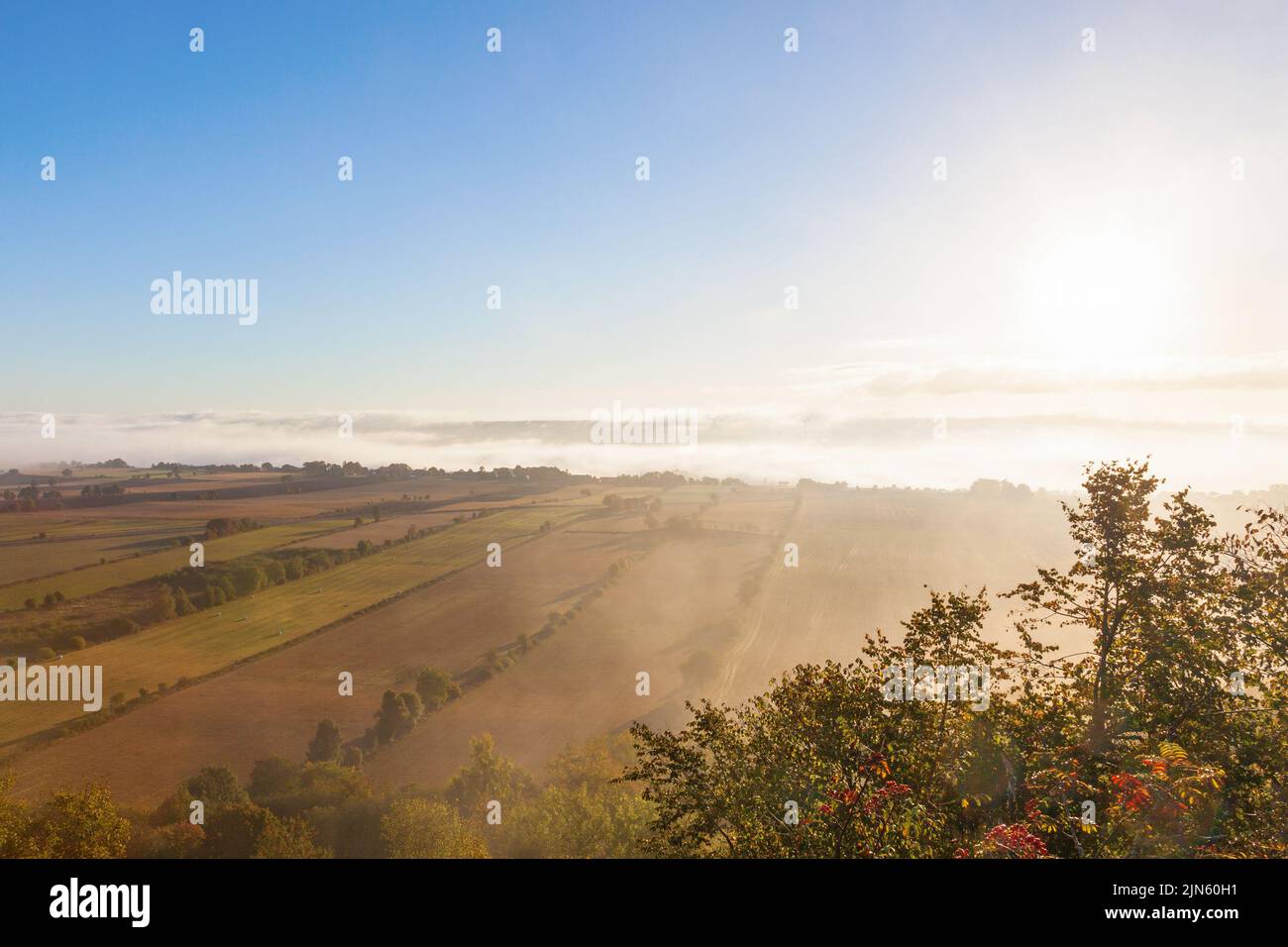 Aerial view misty forest sun hi-res stock photography and images - Alamy