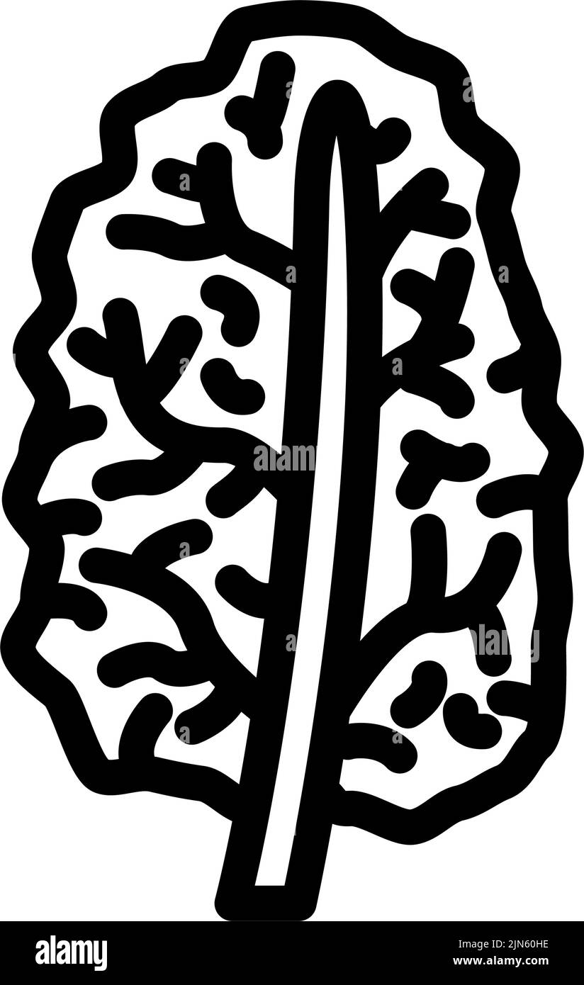 Kale green vegetable cabbage Black and White Stock Photos & Images - Alamy