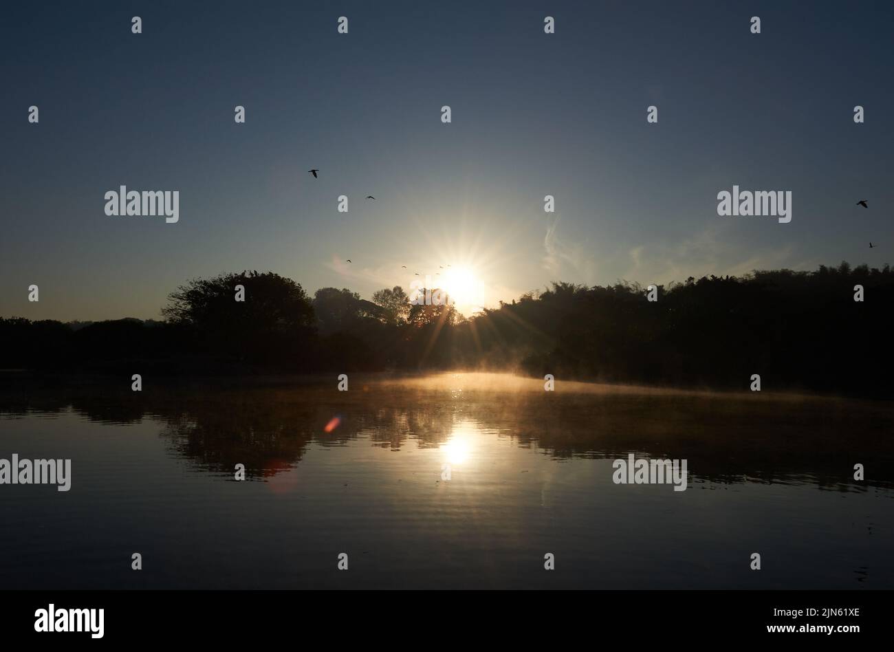 Bird Sanctuary in the Morning, Sunrise and Birds flying at ...