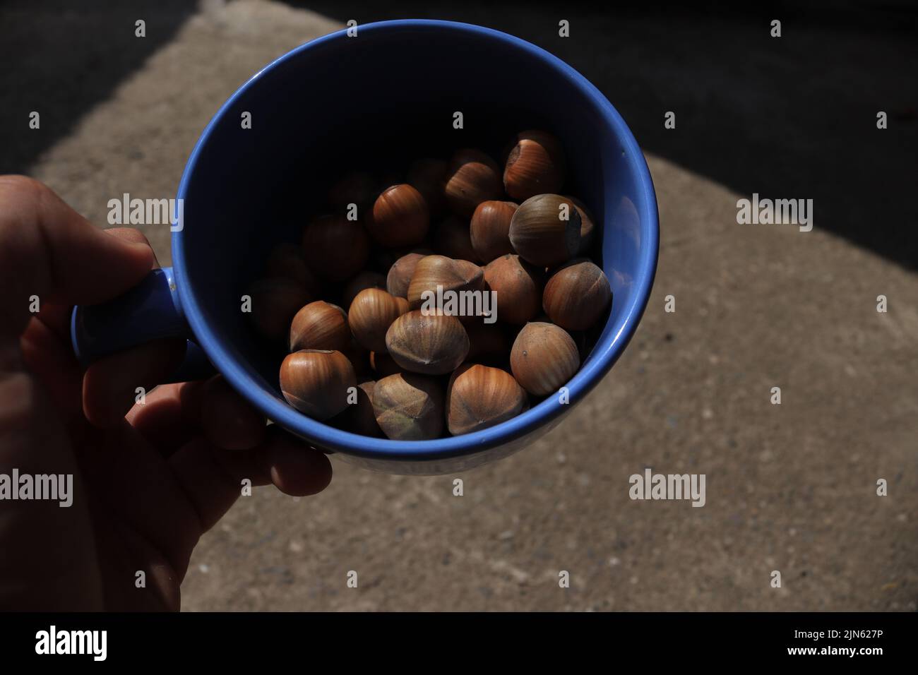 Fly nuts hi-res stock photography and images - Alamy