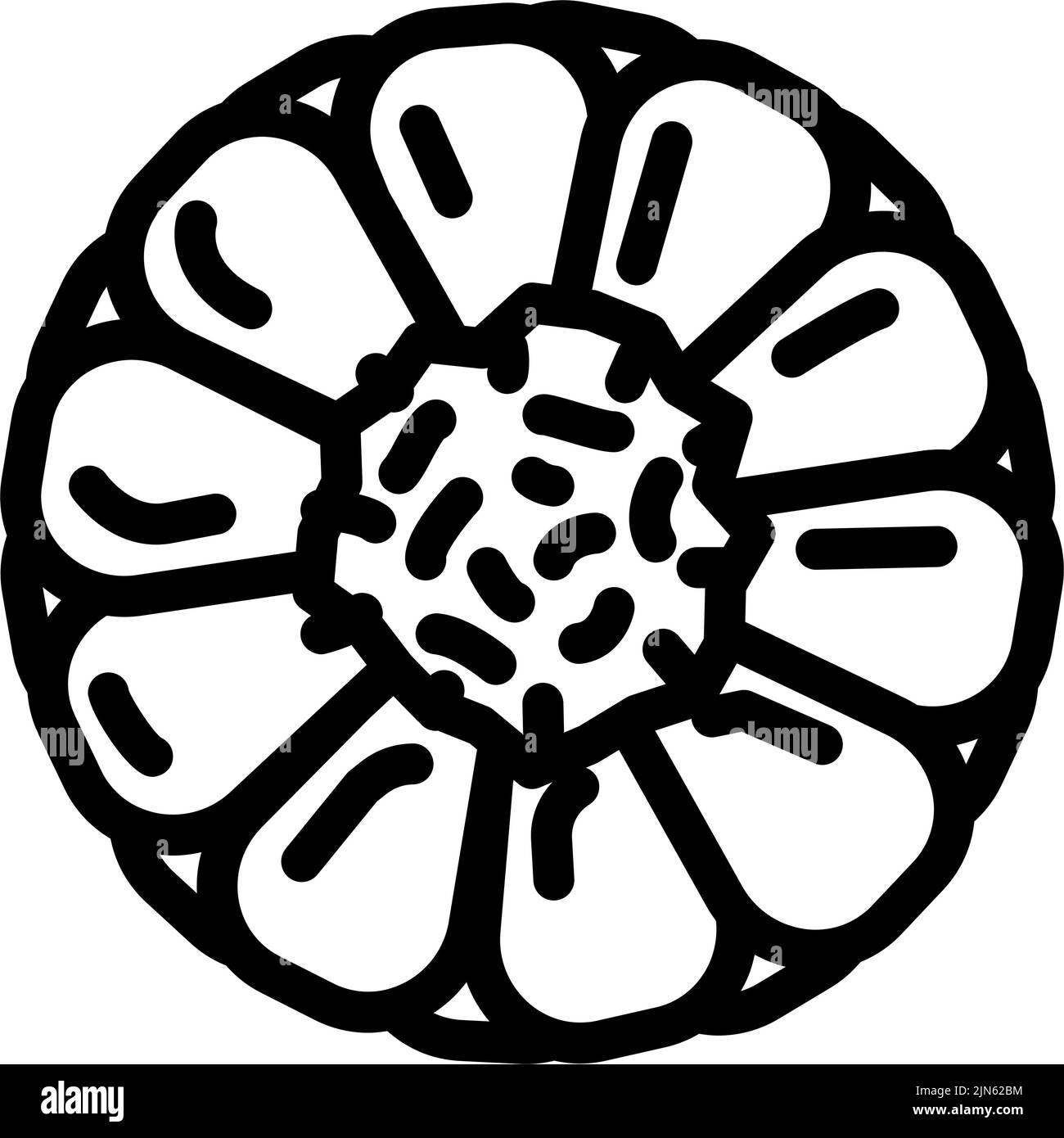 cut corn line icon vector illustration Stock Vector Image & Art - Alamy