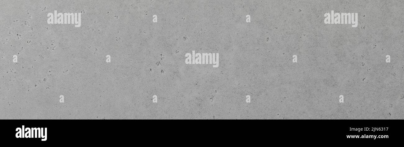 Stone background for line wall pattern texture. Header banner design ...