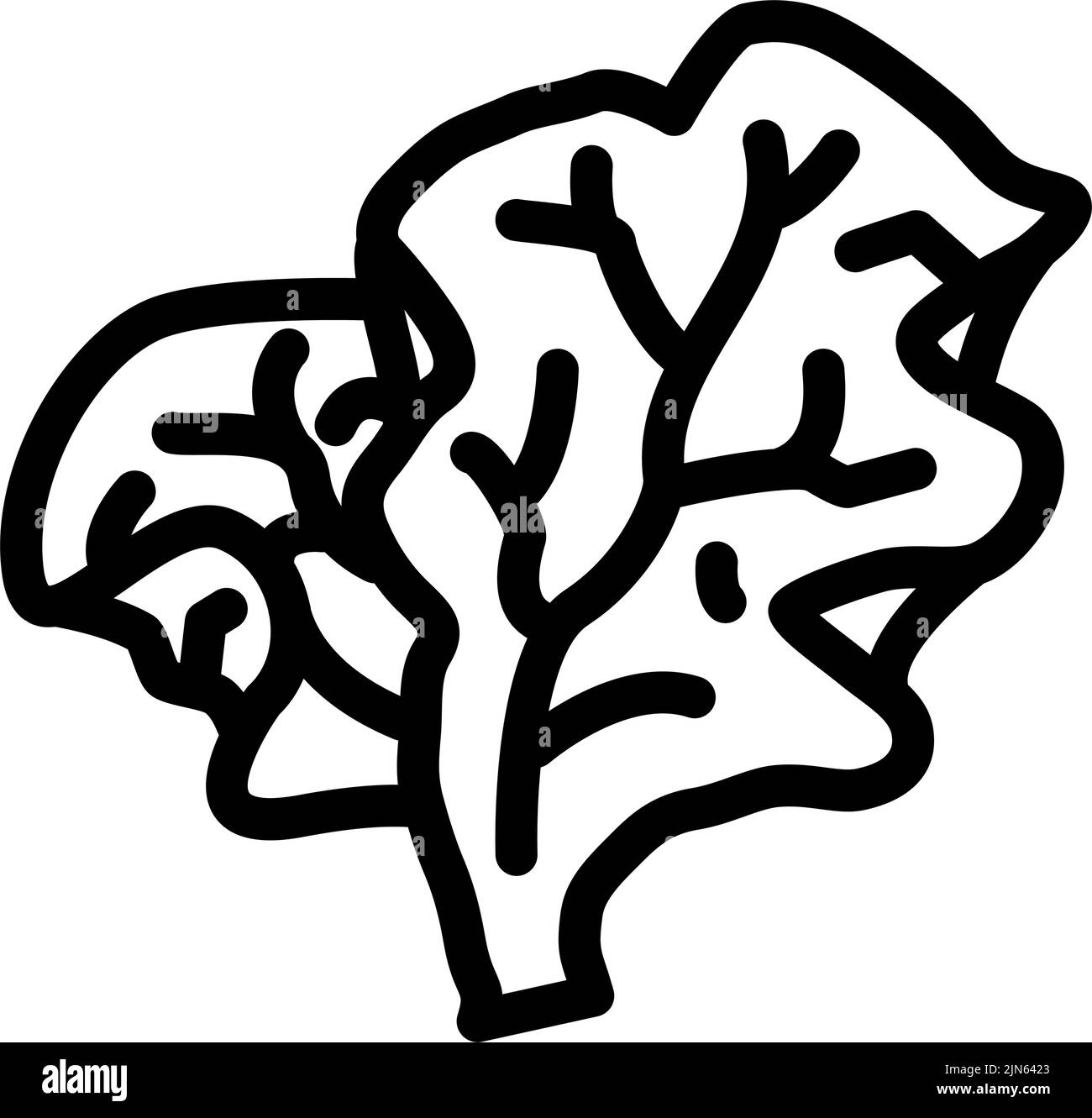 lichty salad line icon vector illustration Stock Vector Image & Art - Alamy