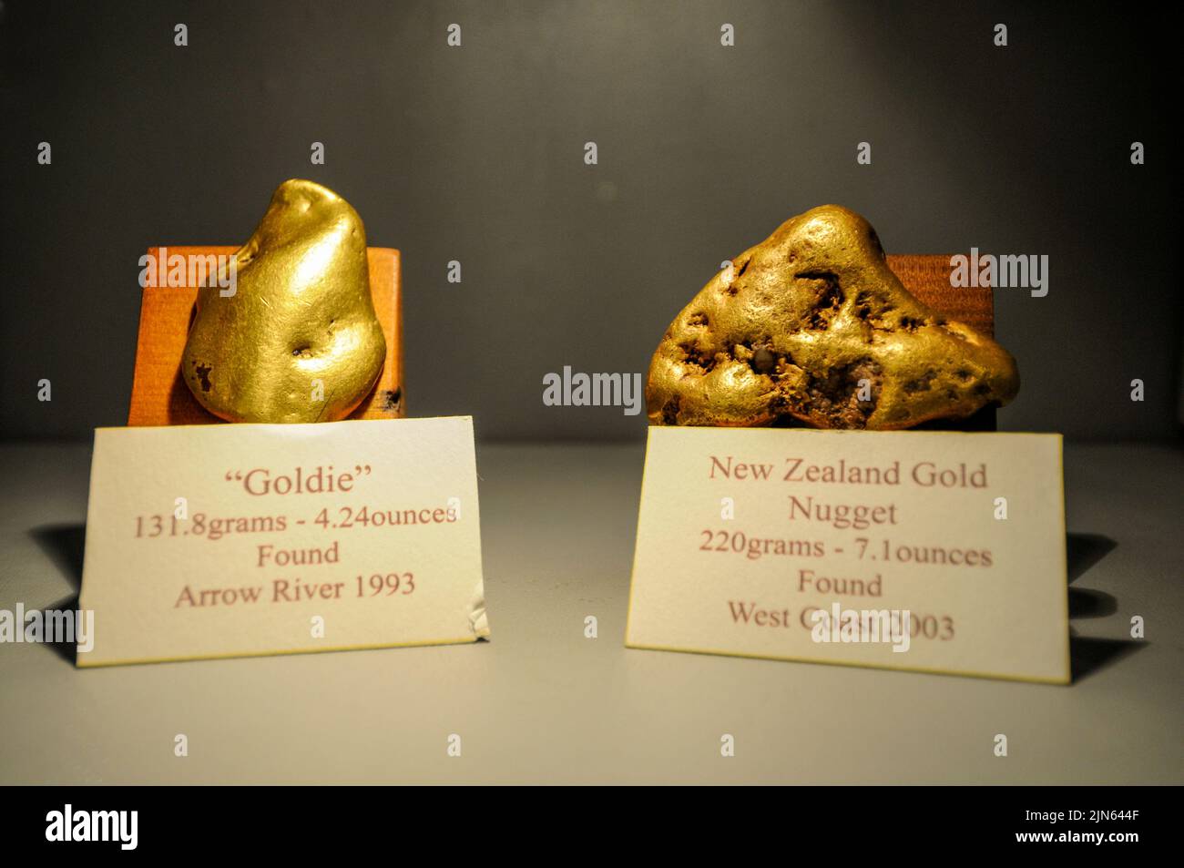 A shop cabinet display of raw New Zealand gold nuggets in Arrowtown. In ...