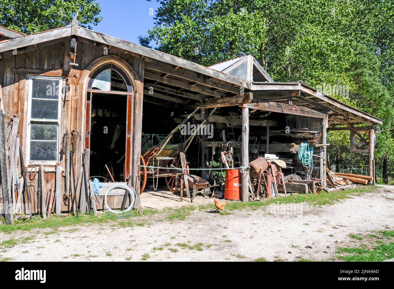 An old barn on a small holding in the Buller Gorge near Murchison in ...