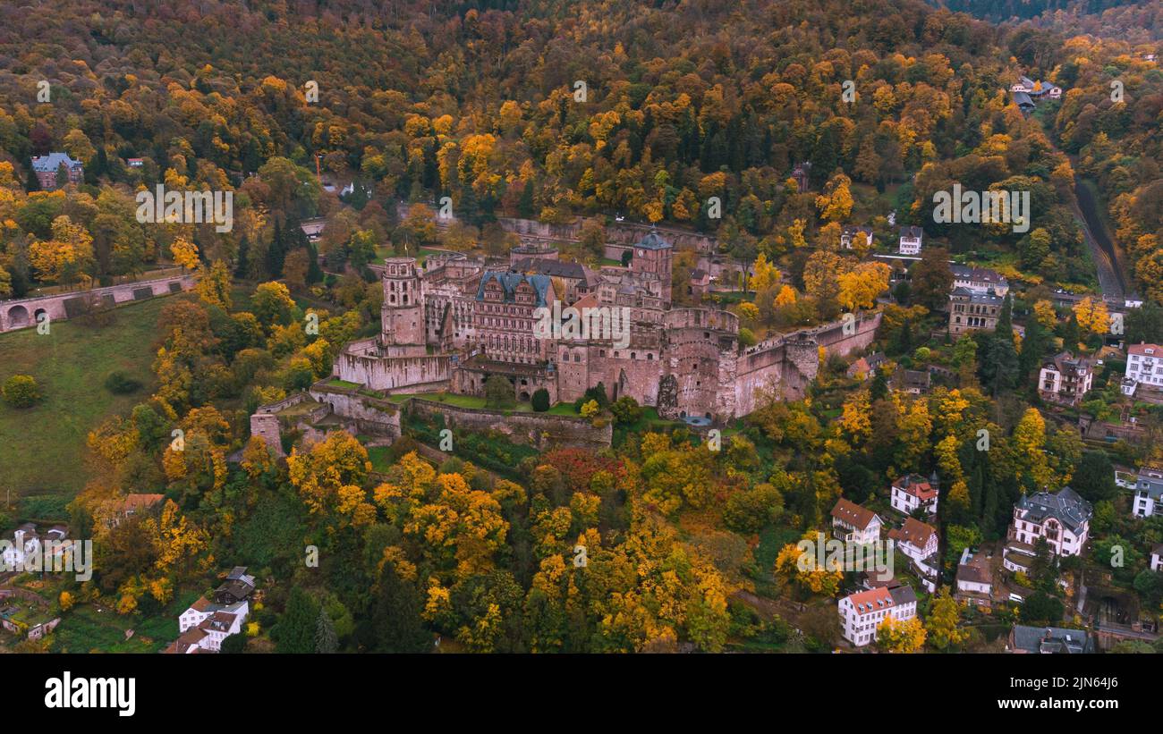 An aerial view of modern buildings surrounded by trees Stock Photo - Alamy
