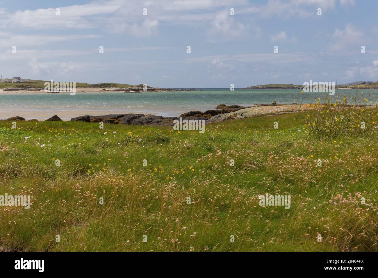 The beautiful view of Ireland's wild coast Stock Photo - Alamy