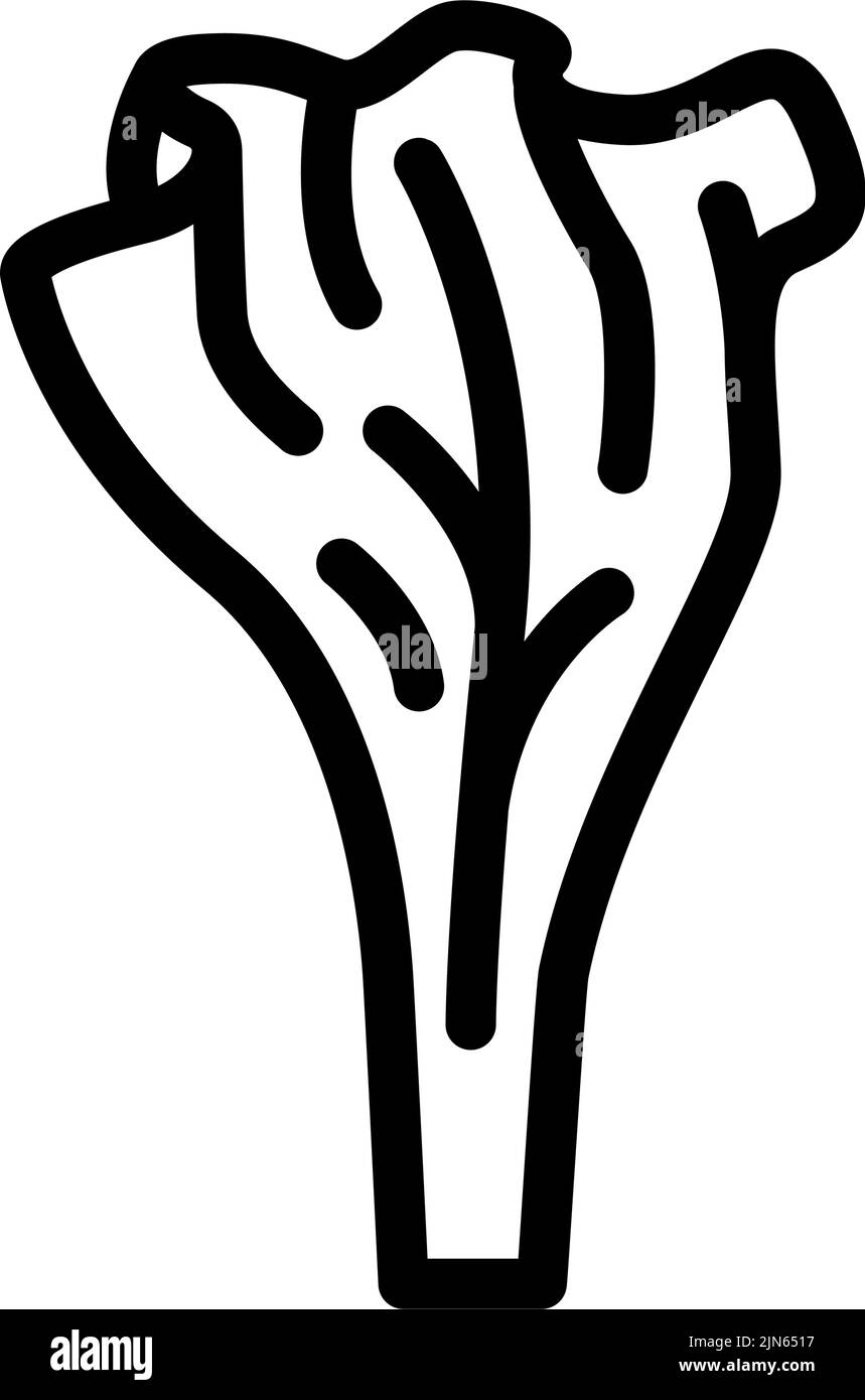 lettuce healthy food line icon vector illustration Stock Vector Image ...