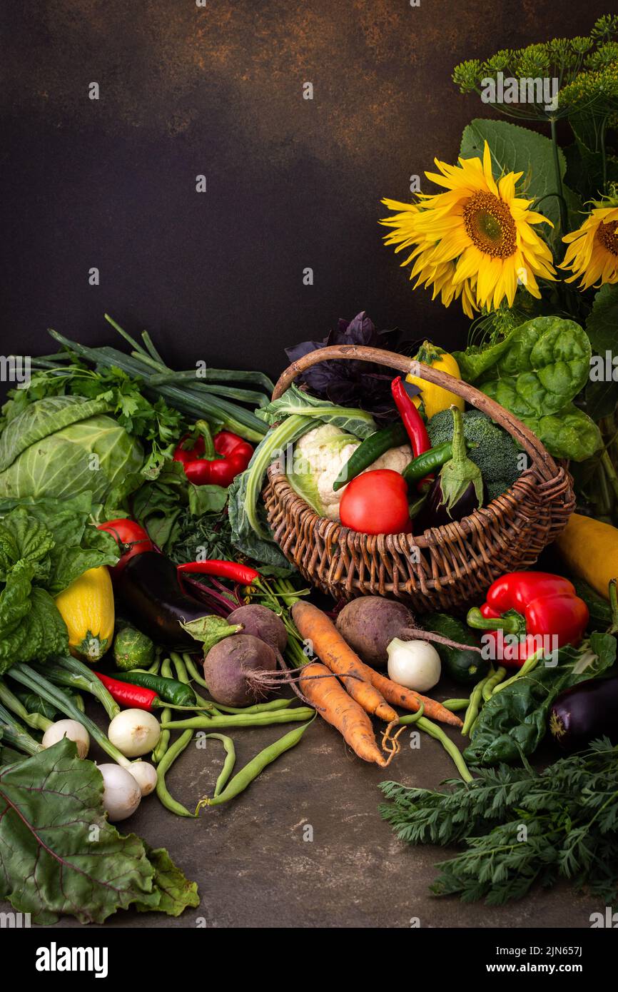 Fresh harvest, organic vegetables and herbs from the garden , sunflower ...