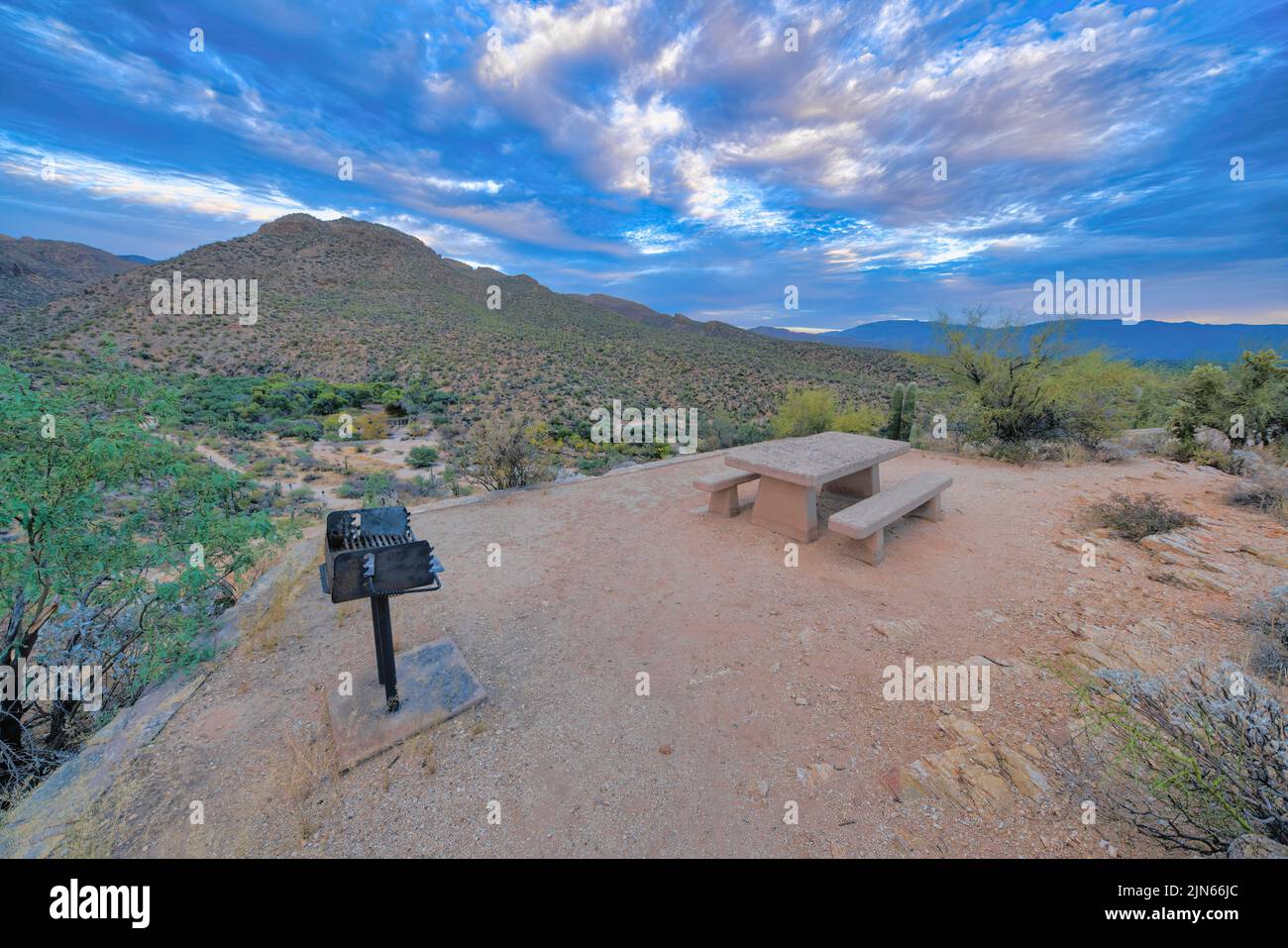Overlooking of mountain range and saguaro cactus field at Sabino Canyon ...