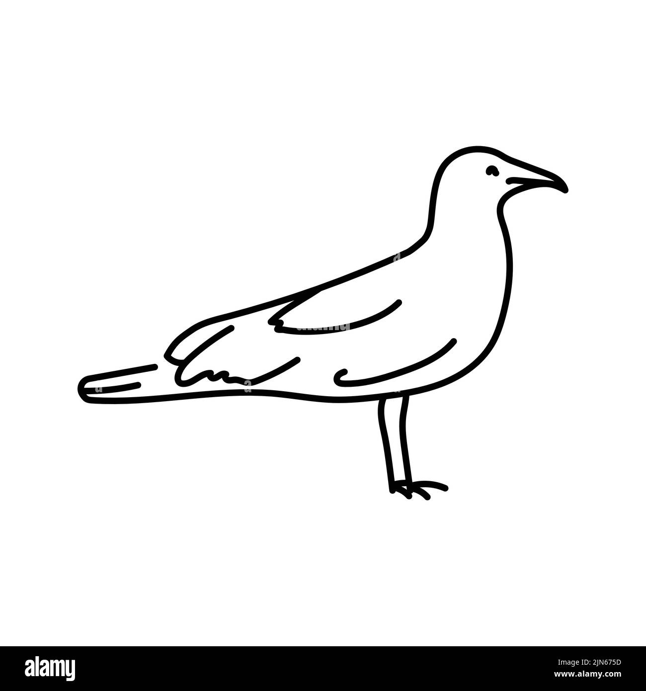 Gull color line illustration. Marine mammals Stock Vector Image & Art ...