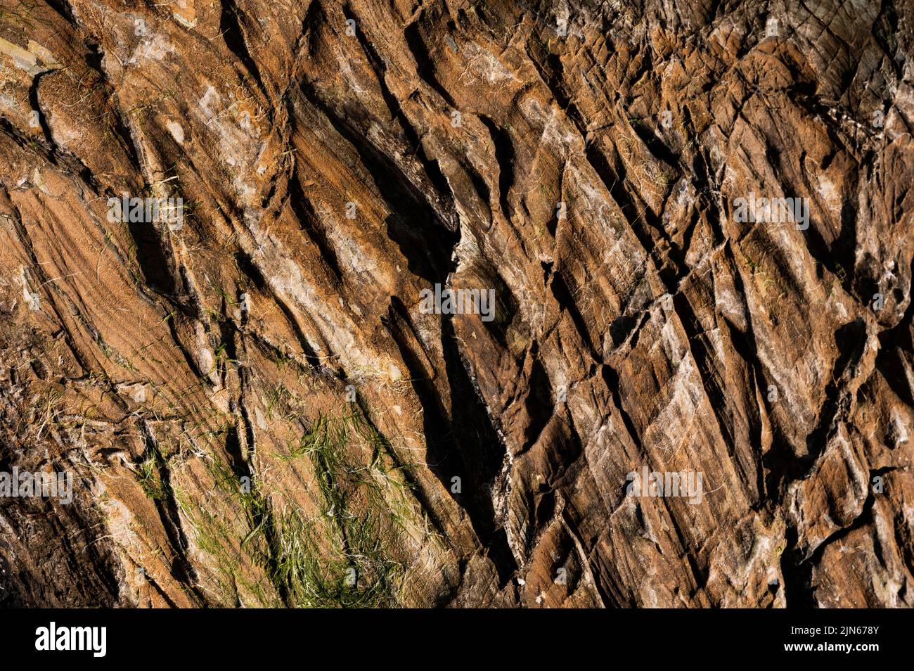 Abstract rock formations by the sea Stock Photo - Alamy